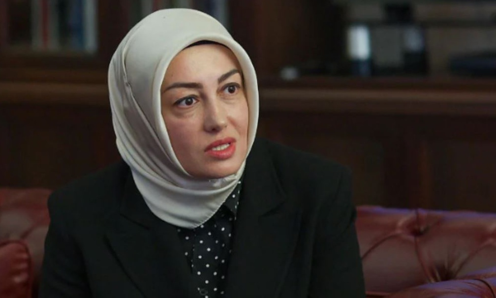 Ayşe Ateş: "DEM'e ne zaman gideceksin?' diyorlardı, DEM Parti onlara ...